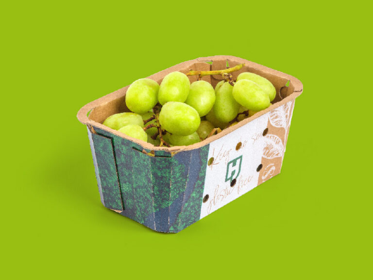 Heat-sealable cardboard punnets - Hinojosa Packaging Group EN