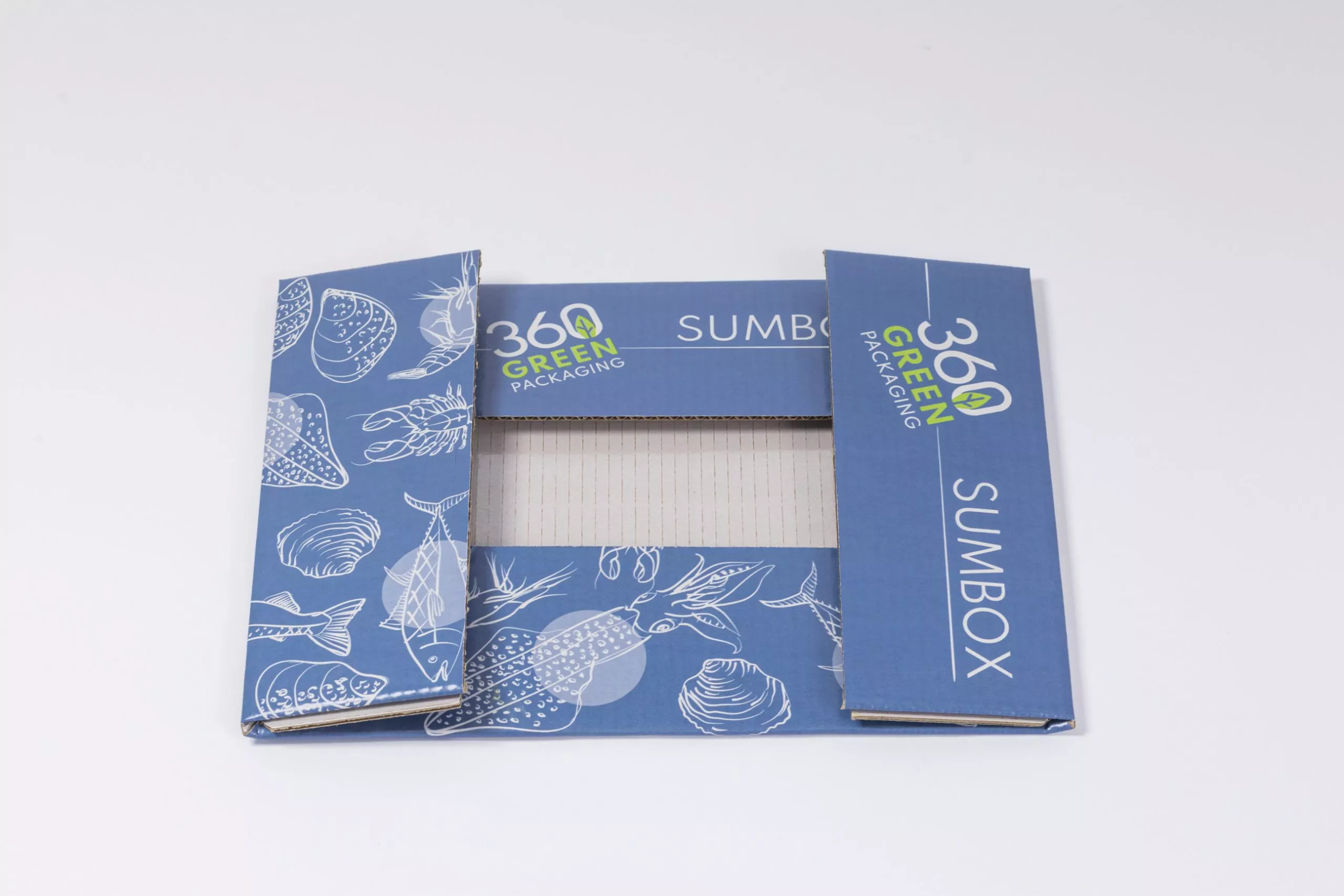 O Hinojosa Packaging Group, ao qual pertence a portuguesa ...